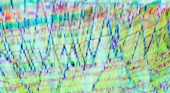 Why Using Combined Fault Attributes Reveals More than Coherence Alone