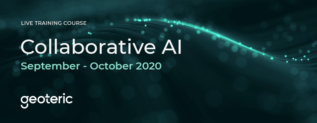 Collaborative AI Training Course
